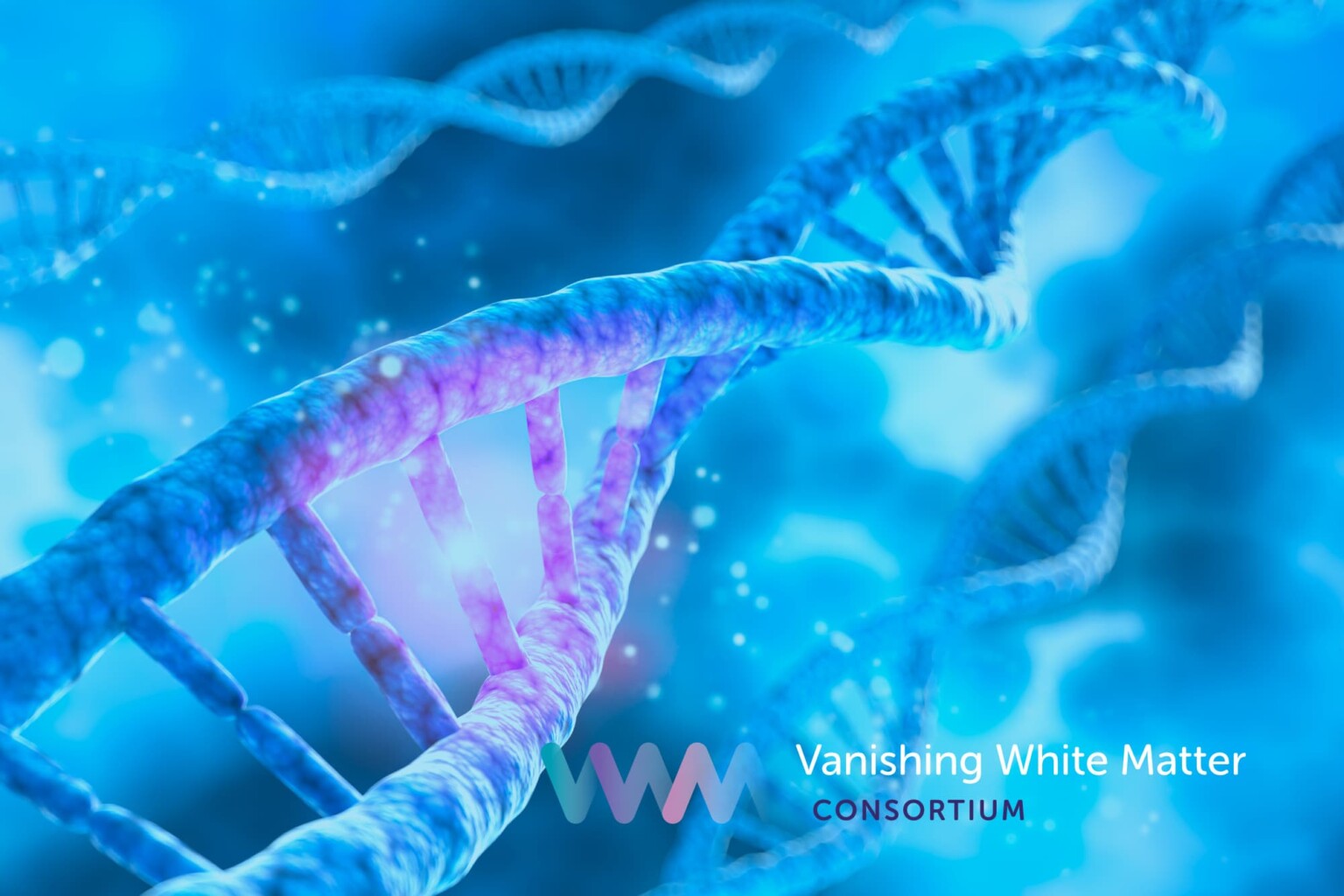 Vanishing White Matter Consortium website ⋆ Stoere Binken Design